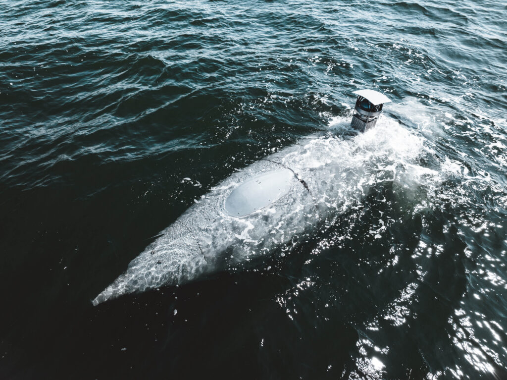 Link video bokep viral indonesia i had been eager to reach